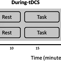 Study design using parallel groups.