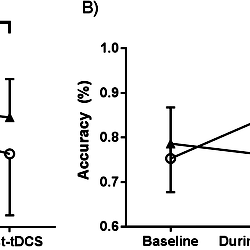 Working memory scores.