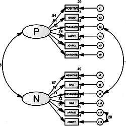 SPANE scale.