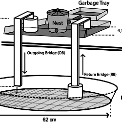 The unidirectional system.