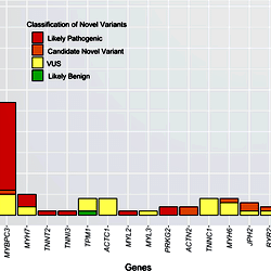 Classification of the novel variants identified in the NGS cohort.