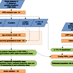 Schematic Overview of the Mapping Procedures and Methods