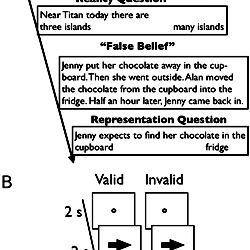 Task structure for the two tasks.