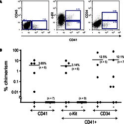 EB6 subpopulations with the potential of giving rise to HSCs.