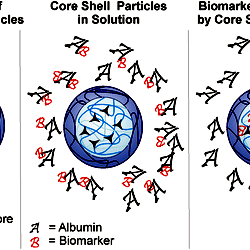 Schematic illustration of core shell particle.