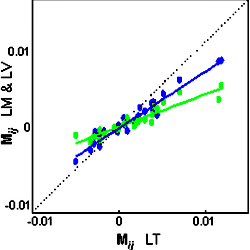 Morphological variance-covariance structures.
