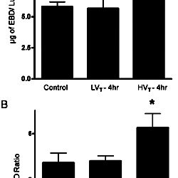 High tidal volume mechanical ventilation causes lung injury.