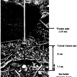 Schematic image of the vertical camera set-up showing camera ...