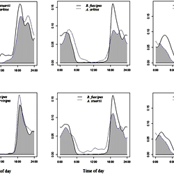Estimates of the relative daily activity patterns for each pair of ...