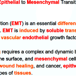 Example comparison of an excerpt of an abstract and corresponding lay ...