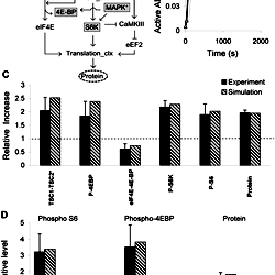 Composite pathway validation.