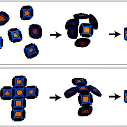 Schematic diagram showing the self-assembly of a cube from (A) six ...
