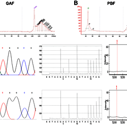 Representative sample pair showing a better DNA preservation in GAF ...