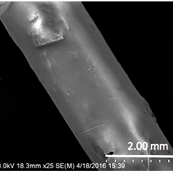 SEM images of filaments.