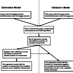 A flow-chart of the statistical analysis.