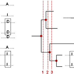 Examples of tree trace levels.