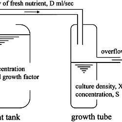Schematic of a chemostat.