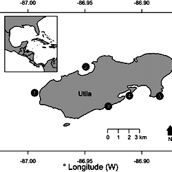 Dive site locations around the island of Utila, Honduras, Caribbean.