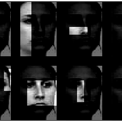 Example of face fragments extracted from the same face (displayed in ...