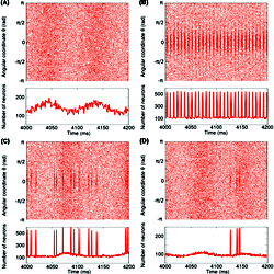 Spike rasters together with the spike histograms for STN neurons ...