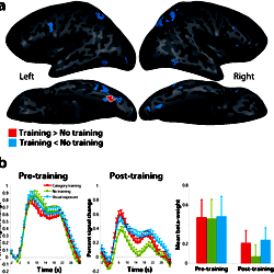 General effects of training.