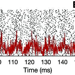 Examples of spiking activity for the neural network.