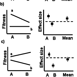 Conceptual graphs of the possible combinations of reaction norms for ...