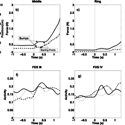 Timing and extent of finger force enslaving during a dynamic force task ...