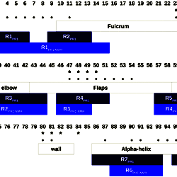 Correspondence between known important PR1 regions and detected ...