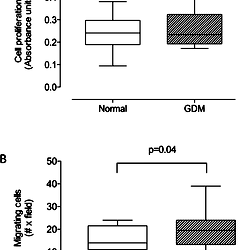 Cell proliferation and migration in HUVEC from gestational diabetes.