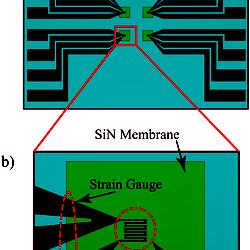 The top view of the on-chip heater or sensor #1 devices.