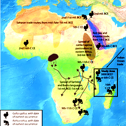 Major zones of interaction and migration.