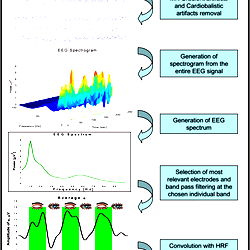 EEG analysis steps.