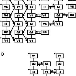 Illustration of parallel and anti-parallel arrangements.
