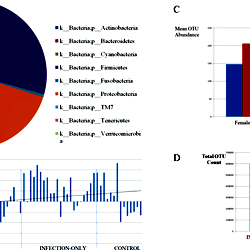 The microbiome in urogenital schistosomiasis and induced bladder ...