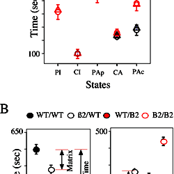 Simulation of the sequence.