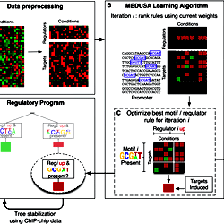 A schematic flow chart showing the algorithmic steps for learning the ...