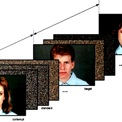 Presentation of stimuli in the visual oddball task with emotional faces ...