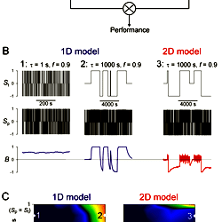 Simulations and performance of the 1D and 2D models in Task 1.
