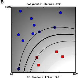The effect of the degree of a polynomial kernel.