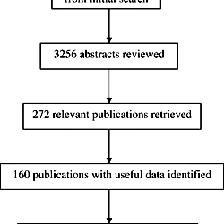 Schematic Diagram of the Steps of the Literature Review
