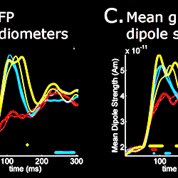 Global measures of MEG activity.