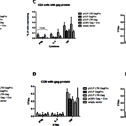 Intracellular cytokine staining [ICS] results.