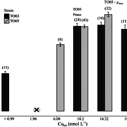 Copper dependent growth rates of Thalassiosira oceanica TO03 and TO05.
