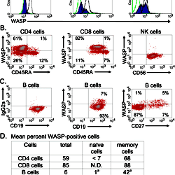 WASP in Patient Blood Cells Revealed by Flow Cytometry.