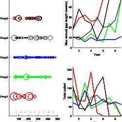 Five culling patterns.