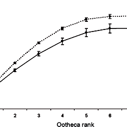 Reproductive success of inbred and outbred pairs.