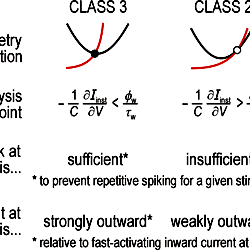 Summary of phase plane geometry and local stability analysis.