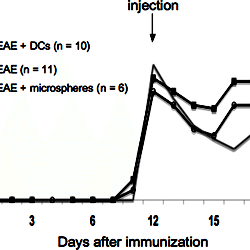 DCs injected intra-CSF aggravates EAE clinical signs.