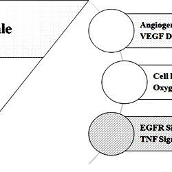 Hybrid multiscale modeling and prediction of cancer cell behavior - Fig 1